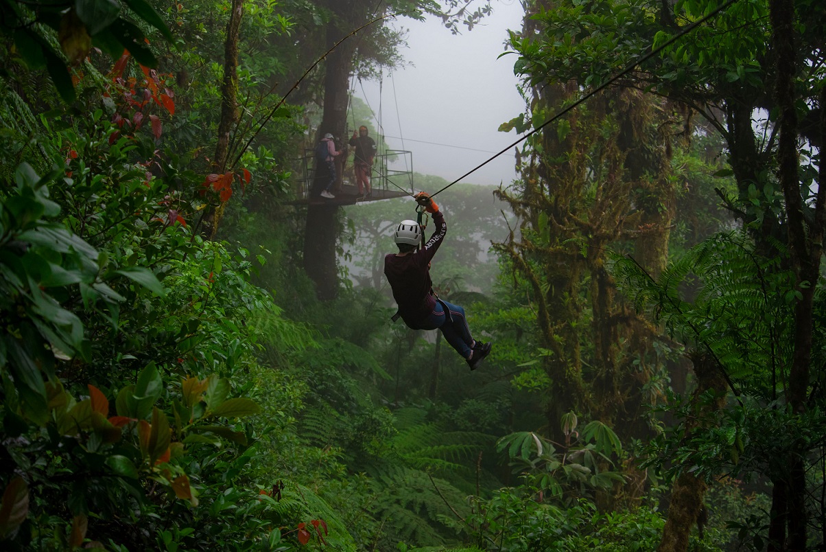 Canopy Tour w/ Tarzan Swing in Monteverde - inMonteverde Reservations