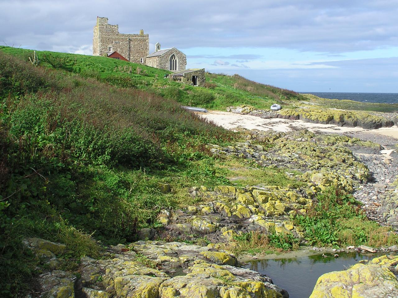 Inner Farne Boat Trip - Billy Shiel's Boat Trips Reservations