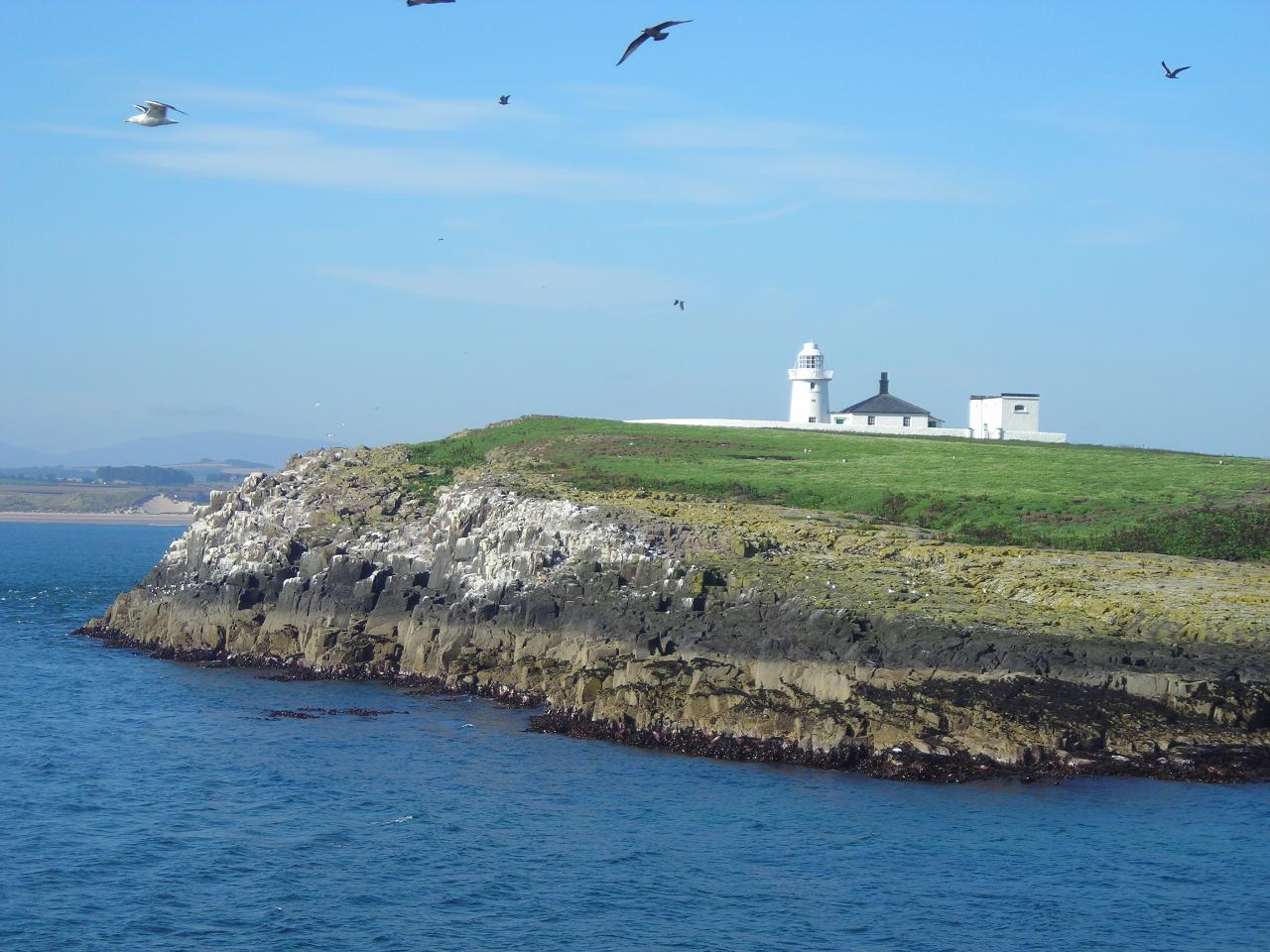 Inner Farne Boat Trip - Billy Shiel's Boat Trips Reservations
