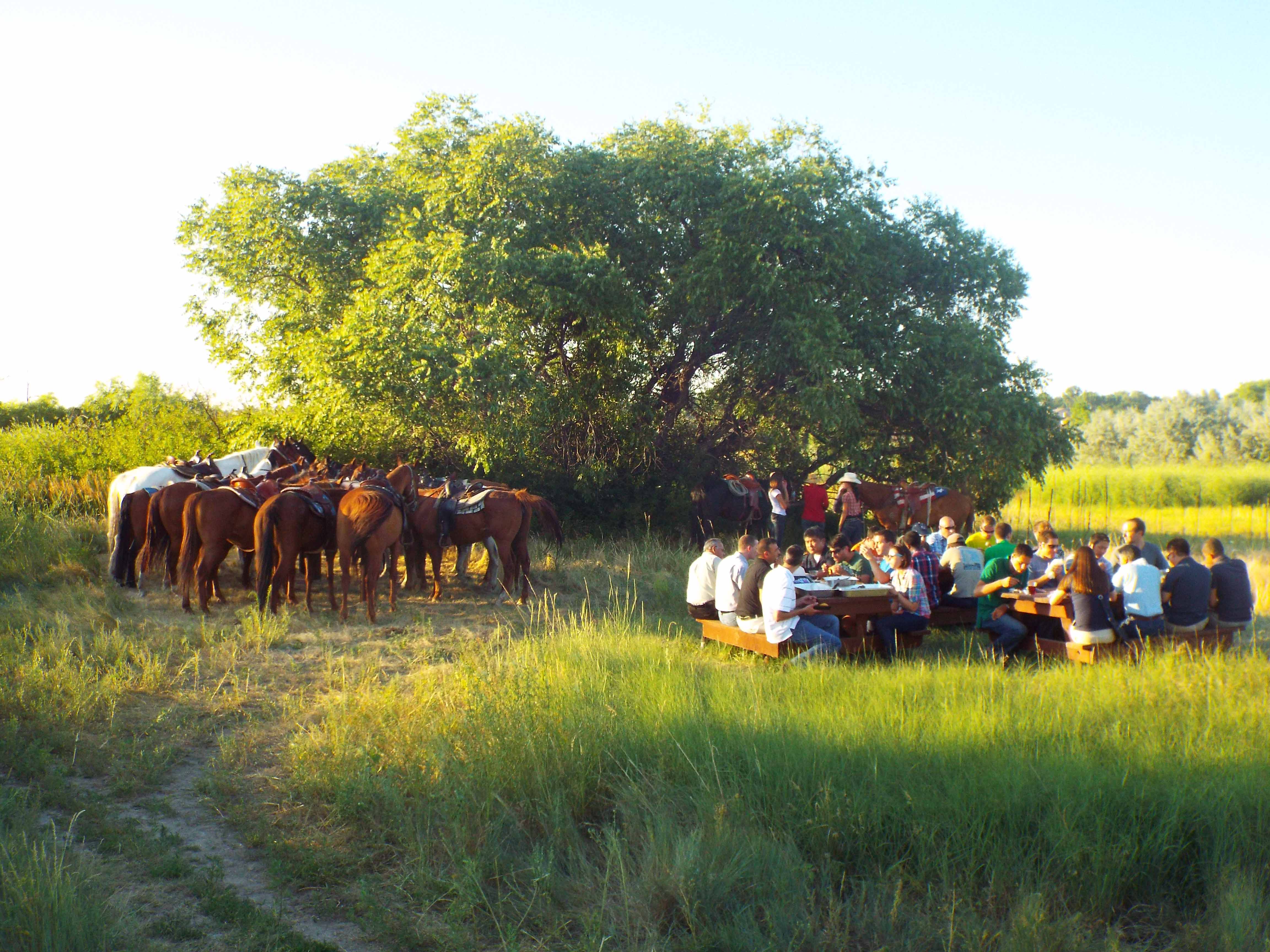 2 Hour Sunset Dinner Ride - 12 Mile Stables Reservations