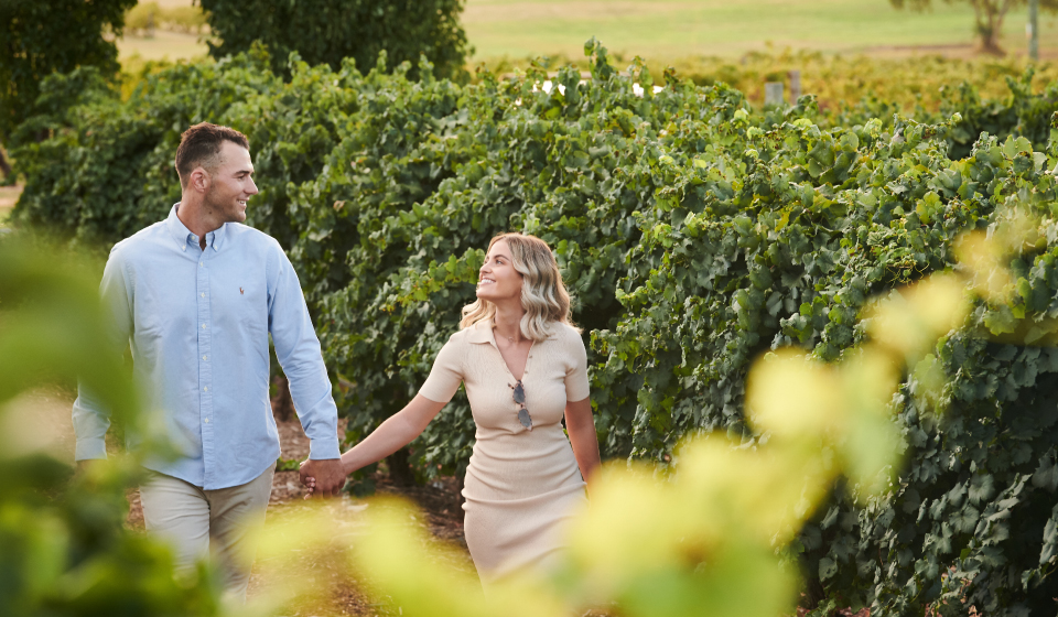 Ultimate Experience with Maya Maya at Mandoon Estate - UWEA - Agent ...