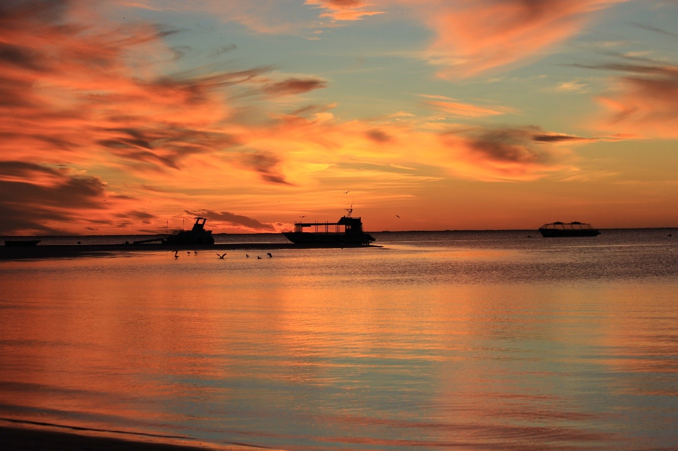 Sunset Cruise - Ningaloo Coral Bay Boats Reservations