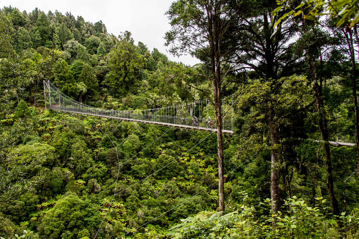 The Timber Trail Mountain Bike Ride