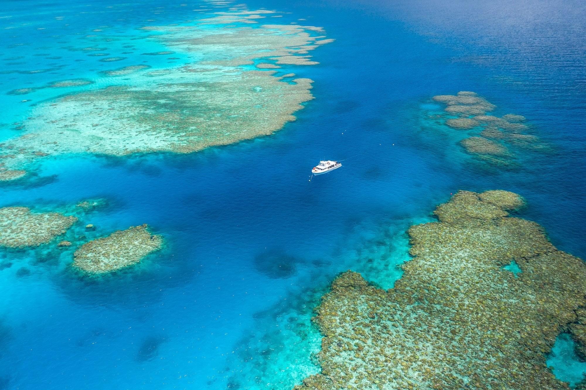 Great Barrier Reef and MOUA Snorkel Day Trip ADD On Discover Scuba ...