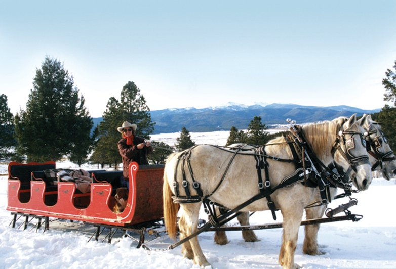 SLEIGH Ride (NOV 14TH - MARCH 22TH) - Roadrunner Tours, LLC. Reservations