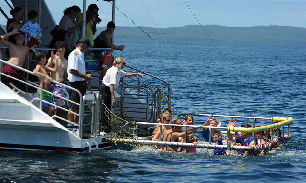Summer Boom Netting Experience - :Jervis Bay Wild and Dolphin Watch ...