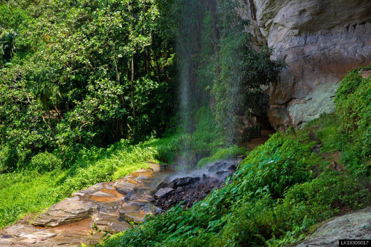 Explore Belilena Caves from Kitulgala - Lakpura LLC