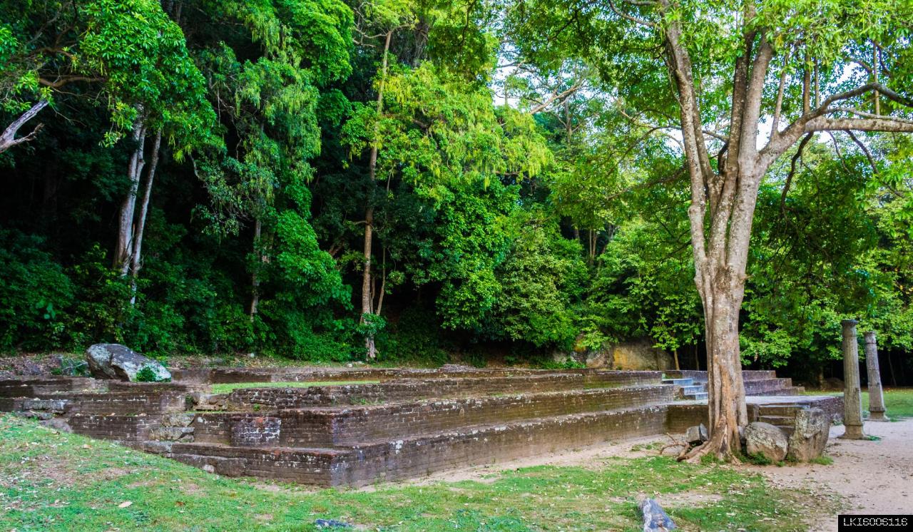 Yapahuwa, Sasseruwa and Auvkana Buddha Statue from Habarana - Lakpura LLC
