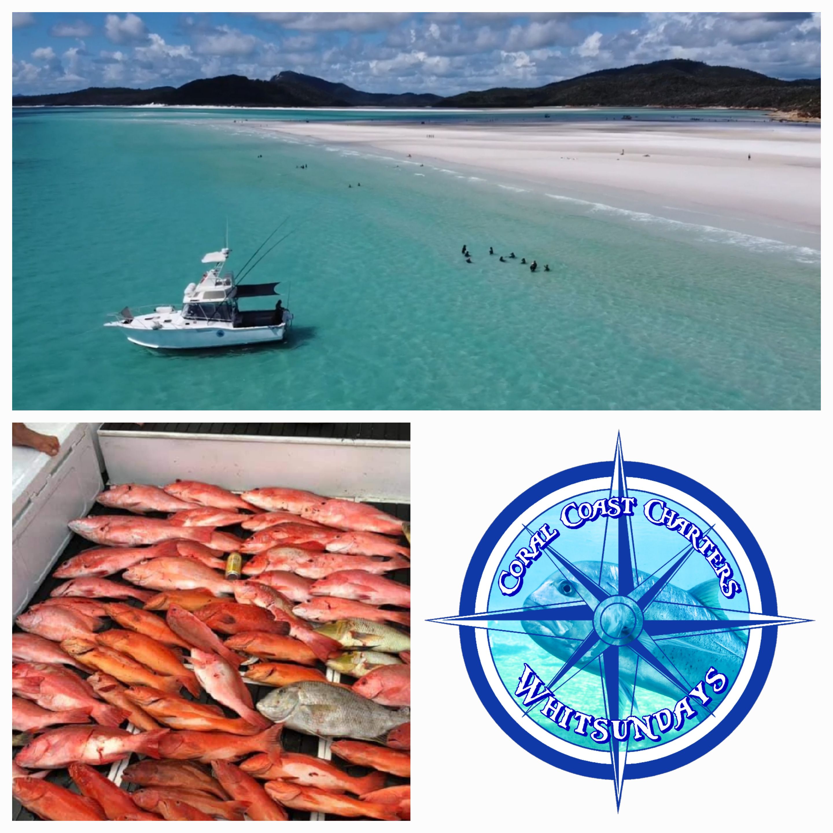 AIRLIE BEACH Fishing Charter Adventure Combo - Fish - Swim - Bush Walk ...