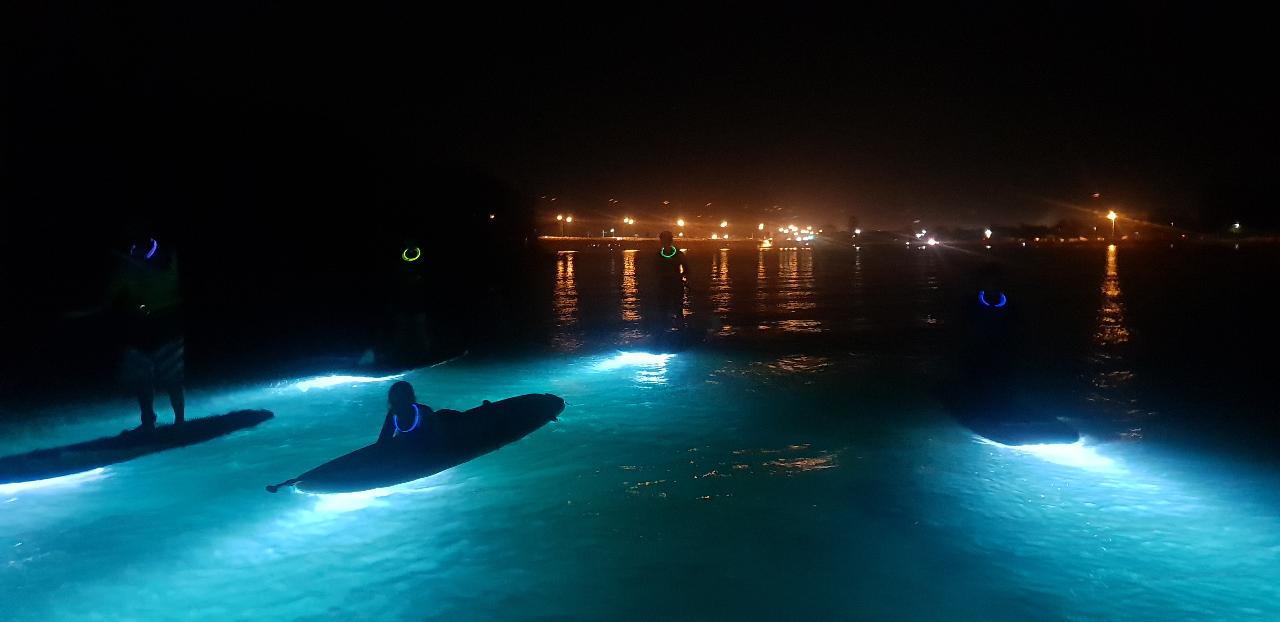 Night SUP - Stand Up Paddle Boarding Shellharbour Reservations