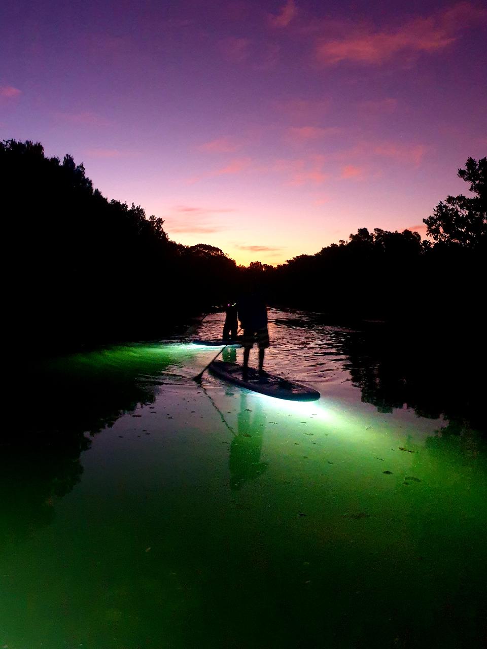 Night SUP - Stand Up Paddle Boarding Shellharbour Reservations