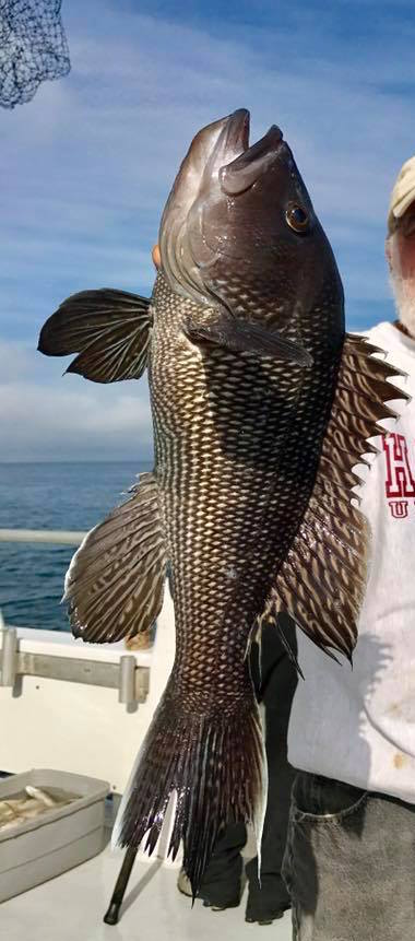 ZZZ FULL DAY CAPT'S CHOICE (MATTITUCK ) (8AM-3PM) - Celtic Quest ...