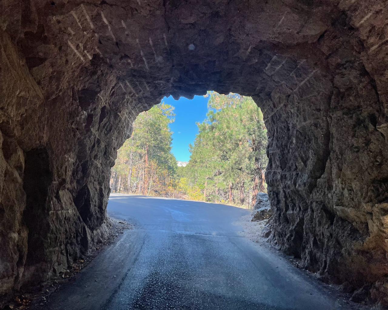 Black Hills or Badlands Half Day Tour