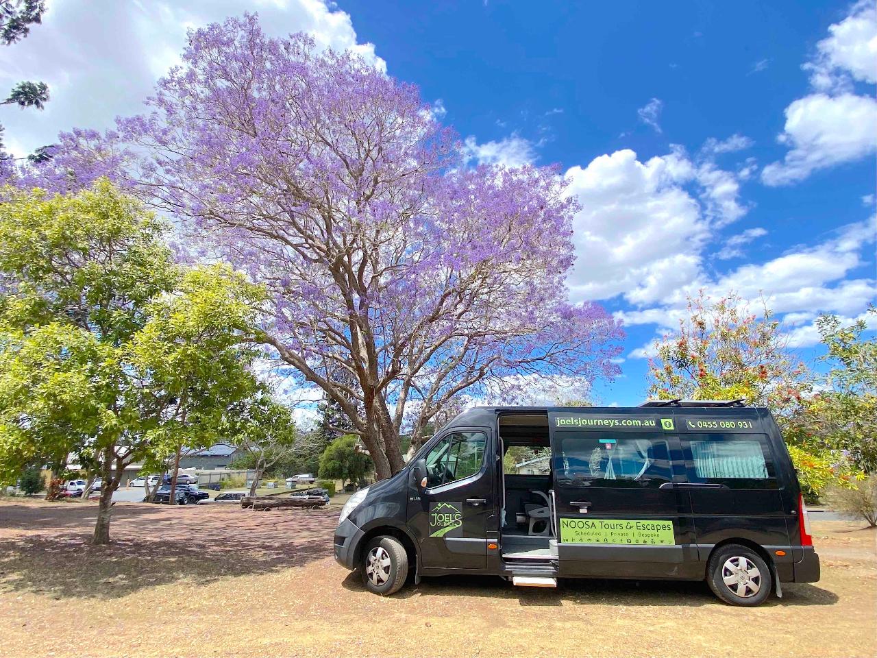 Mary Valley Tour - Turers - Australia