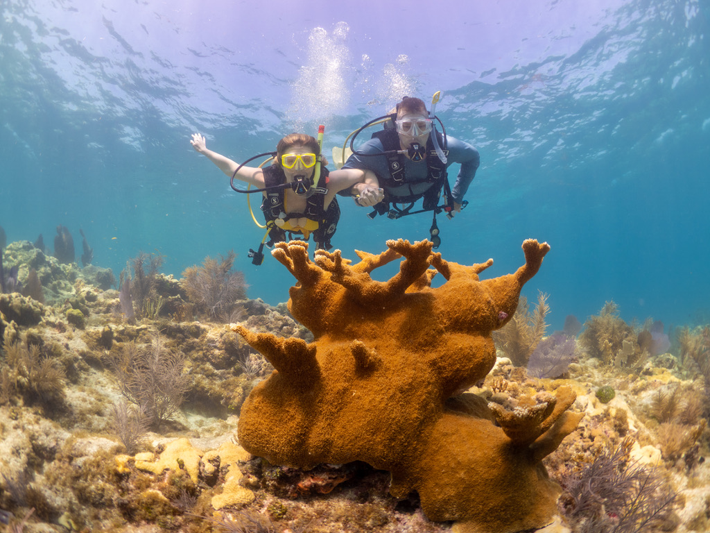 Looe Key Reef Trip - Discover Florida Keys' Stunning Coral Reefs