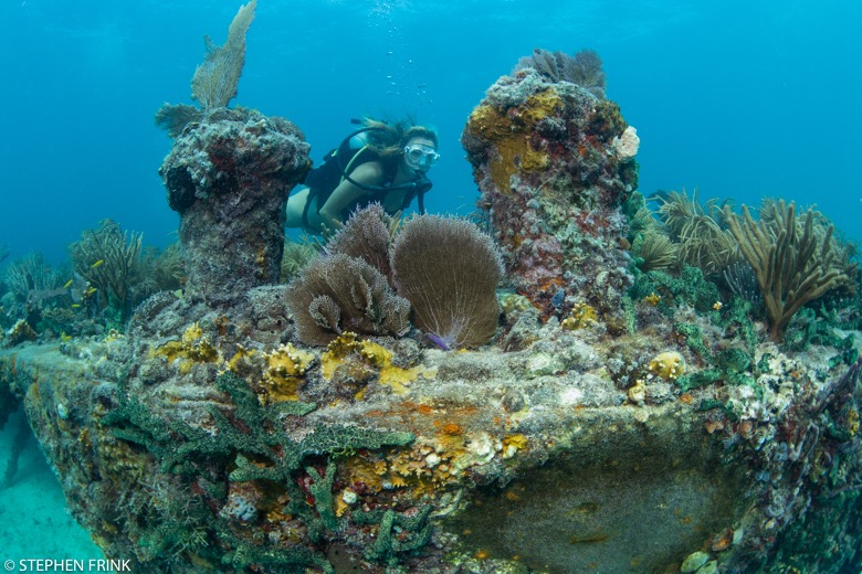 Marathon Reef Trip - Snorkeling & Diving Adventure in the Florida Keys