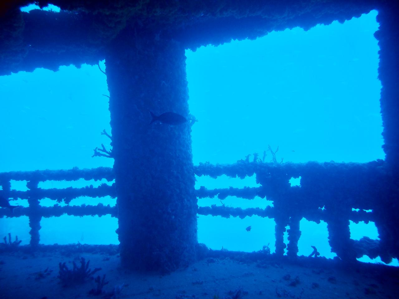 Key West Vandenberg Wreck Dive - Explore Florida Keys' Premier Shipwreck