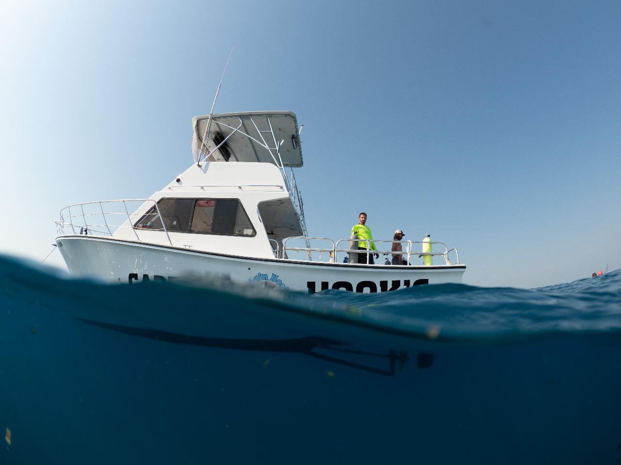 Key West Vandenberg Wreck Dive - Explore Florida Keys' Premier Shipwreck