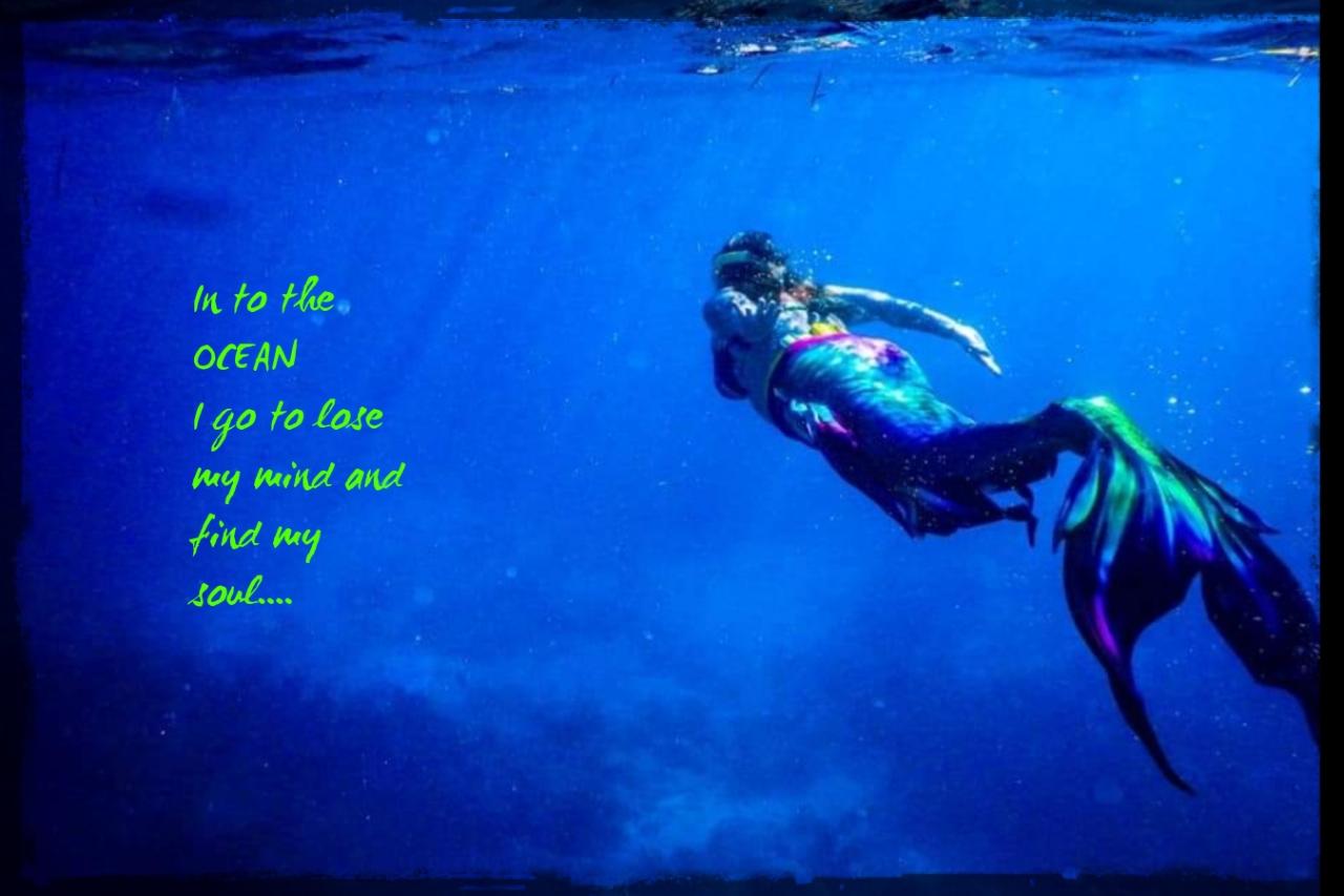 SSI Ocean Mermaid Course for the Key West Mermaid Festival - Captain ...