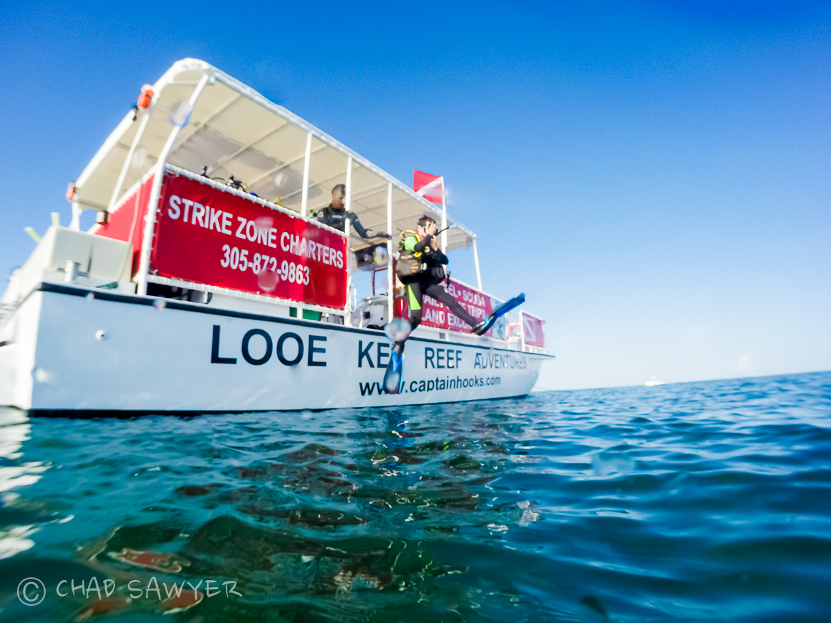 Looe Key Reef Trip - Discover Florida Keys' Stunning Coral Reefs