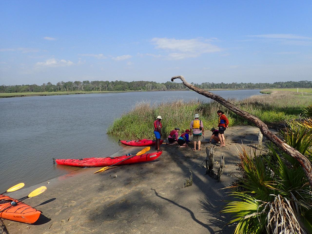 Sapelo Island Kayak and Equipment Rental for Georgia River Network Nov ...