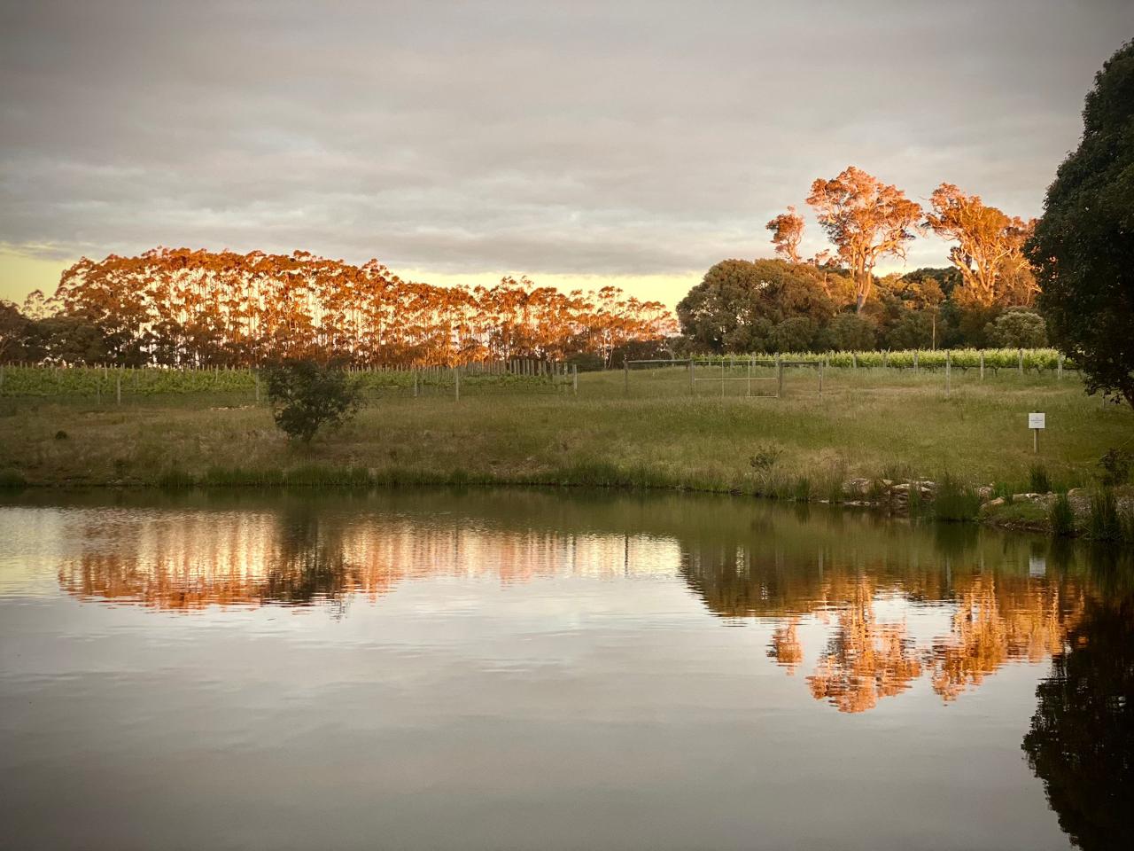 Wine Sunsets at Passel Estate - relax into the evening at Passel Estate