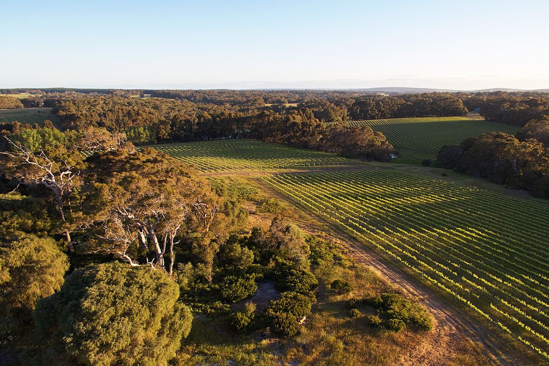 The Ultimate Experience for Wine and Nature Lovers