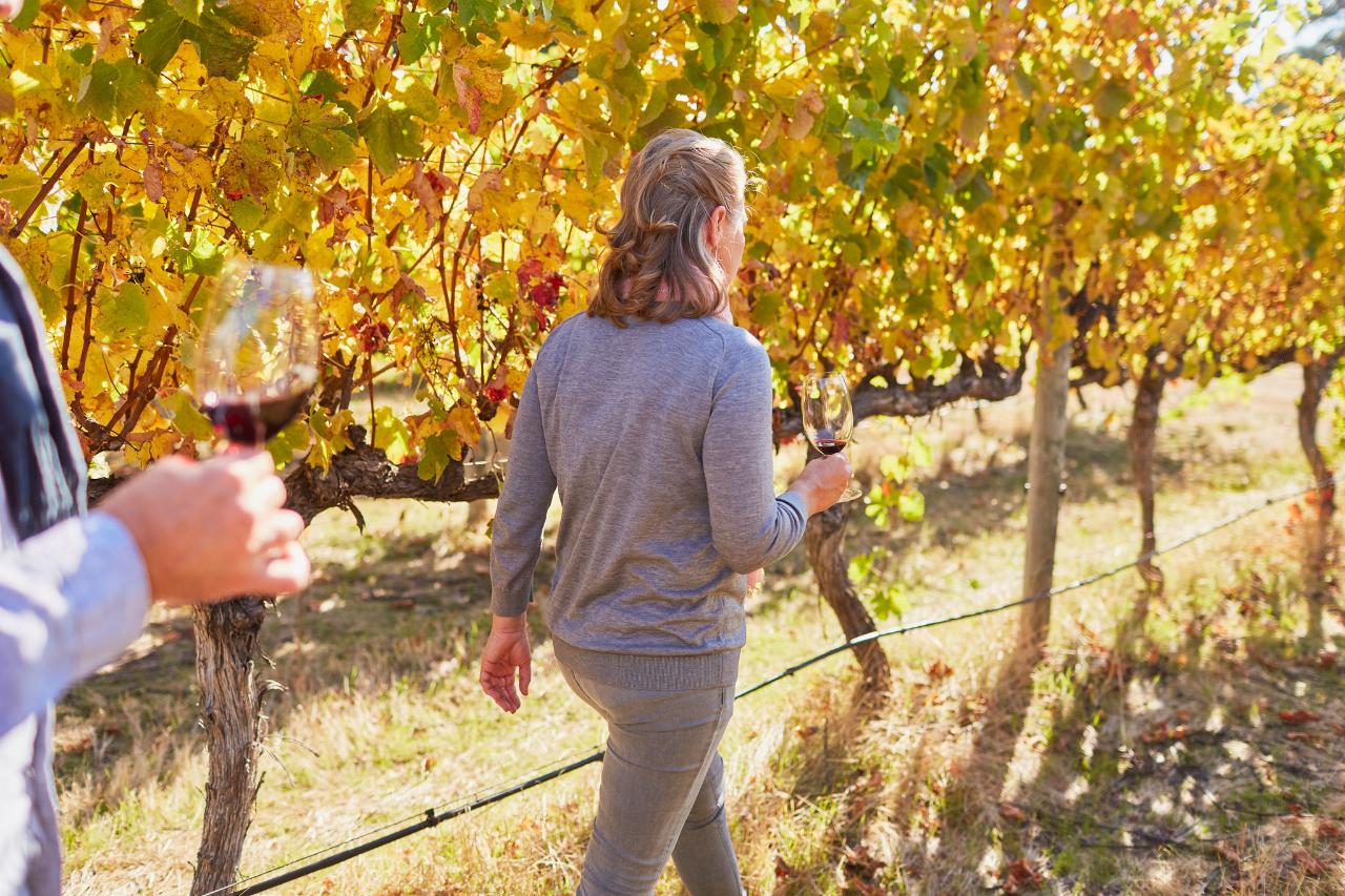 Wine Sunsets at Passel Estate - relax into the evening at Passel Estate