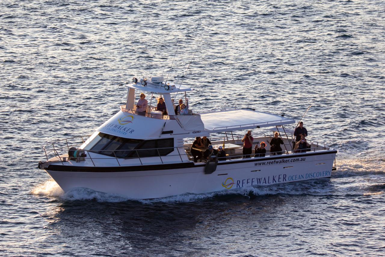 Kalbarri Sunset Coastal Cliff Cruise - Reefwalker Ocean Discovery ...