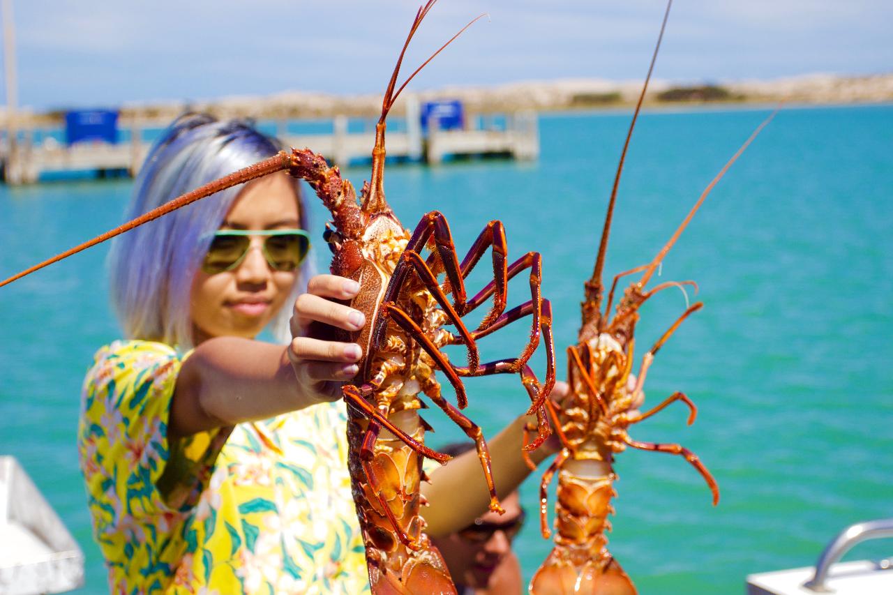 Kalbarri Crayfish Catch & Keep Tour - Reefwalker Ocean Discovery ...