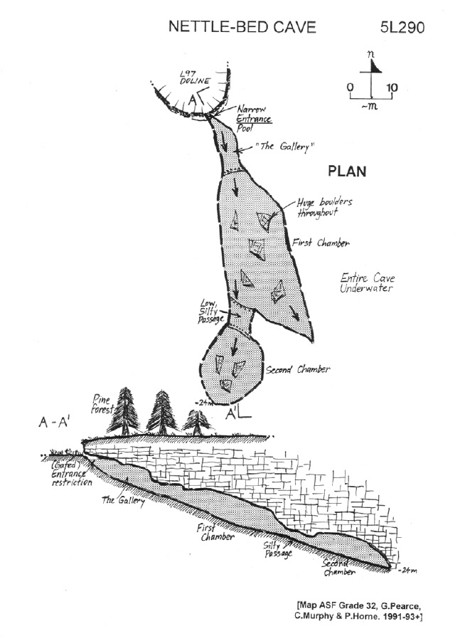 Nettlebed and Mud Hole Cave - ForestrySA 1 Reservations