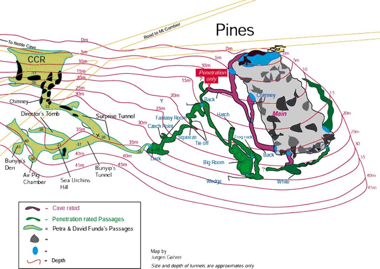 Pines Cave - ForestrySA 1 Reservations