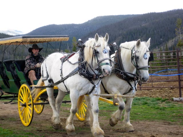 Watermelon Wagon Ride - Sombrero Stables Reservations