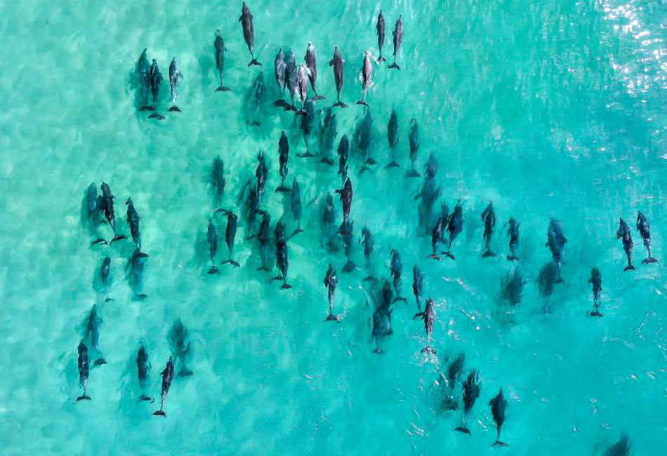 Inner Reef Explorer (30 mins) - Turers - Australia