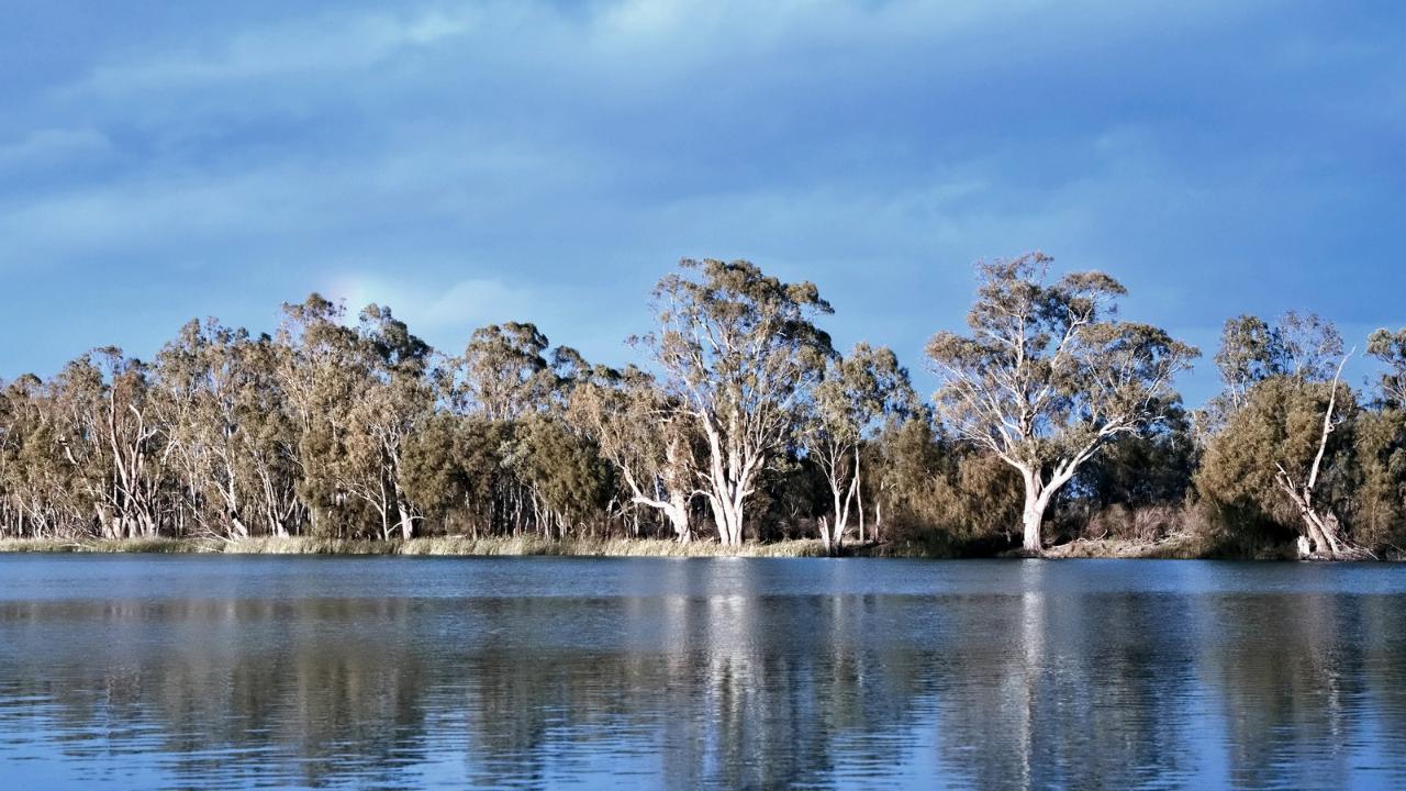 3-Day SA Riverland, Murray River & National Parks Small Group Eco Tour ...