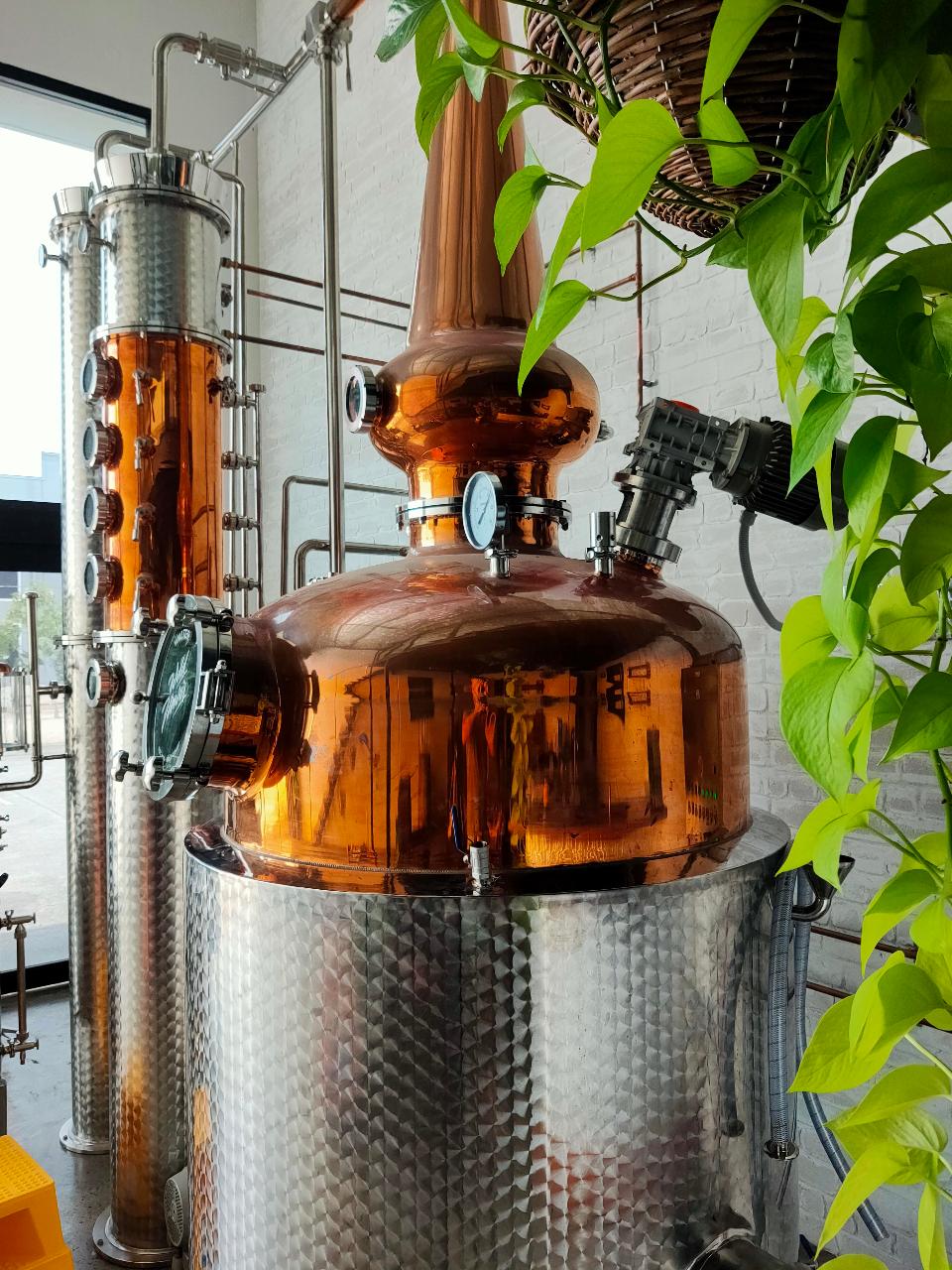 Wildflower Gold Coast Gin Masterclass Lessons