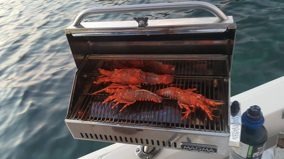 Half Day Deep Sea Fishing - Tango Mar - INTERBUS Costa Rica Shuttle ...