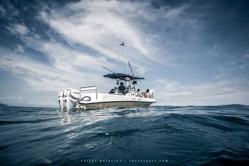 Half Day Deep Sea Fishing - Tango Mar - INTERBUS Costa Rica Shuttle ...