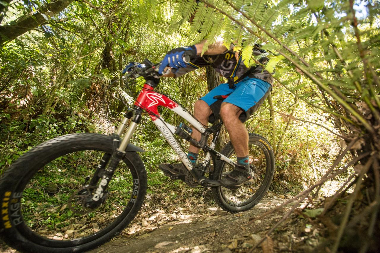 SPECIAL - MTB - 10% off Great Lake Trail - W2K & Headland Loop Guided ...