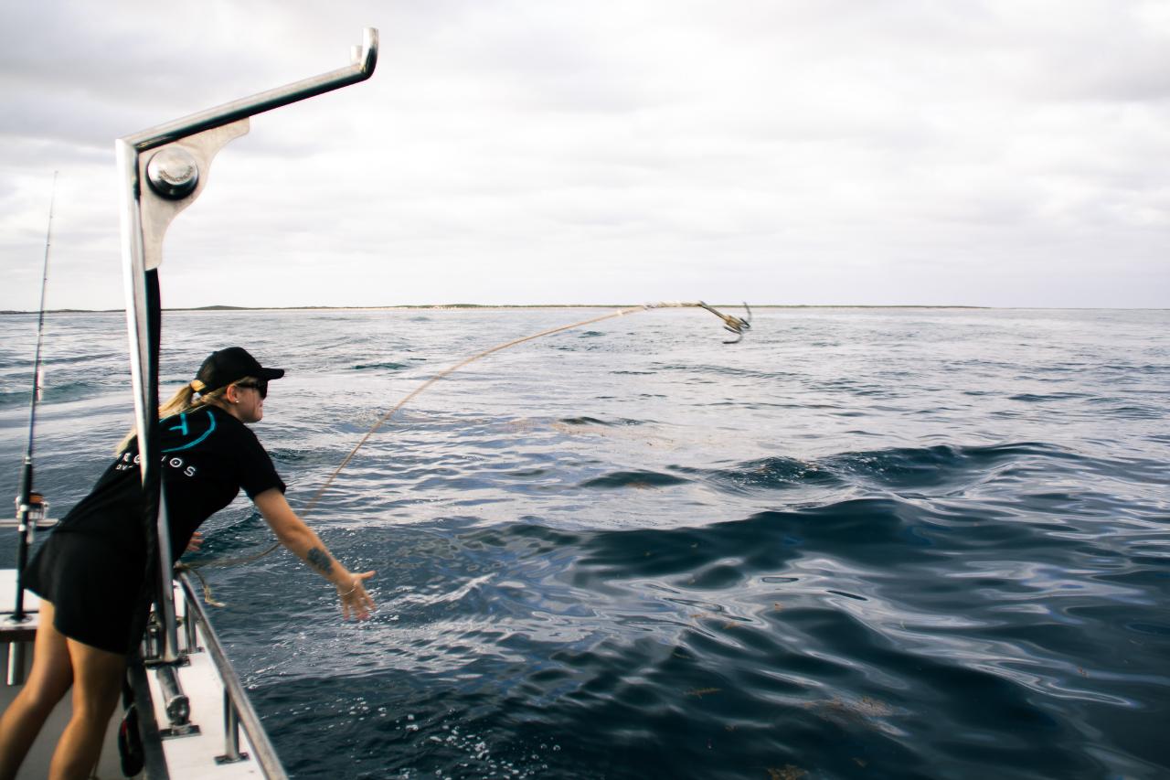 Abrolhos Island 3 Day Liveaboard Charter onboard Fortitude - Abrolhos ...