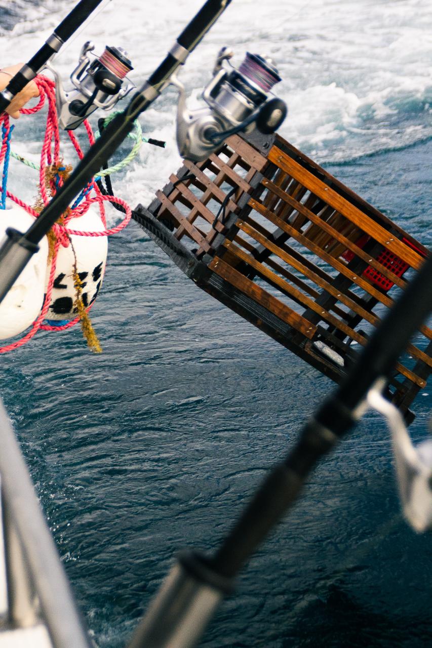 Abrolhos Island 3 Day Liveaboard Charter onboard Fortitude - Abrolhos ...