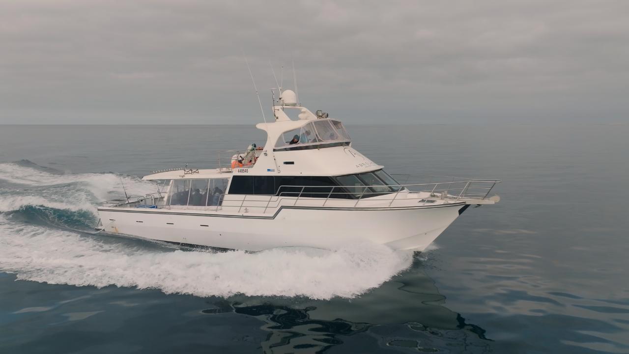 Abrolhos Island 3 Day Liveaboard Charter onboard Fortitude - Abrolhos ...