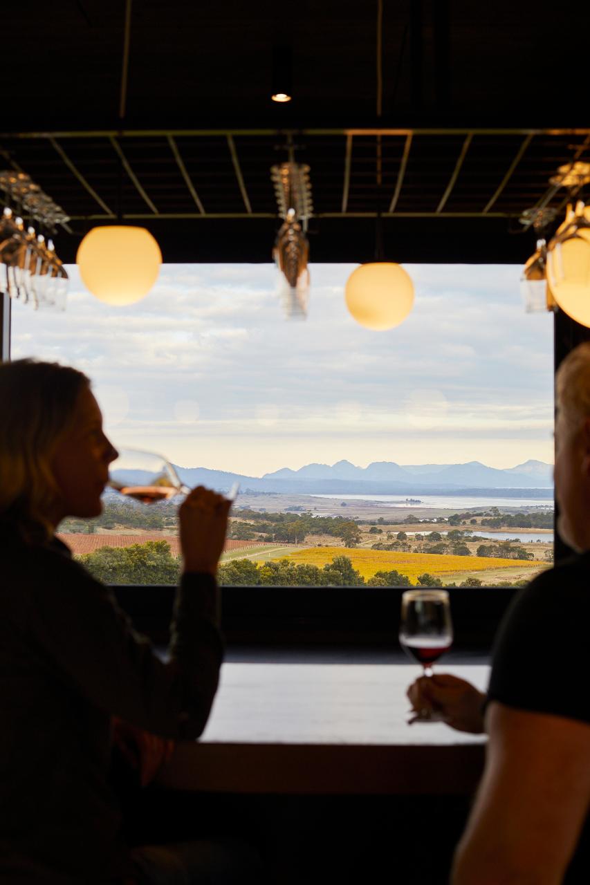 Premium Hosted Tastings at Devil's Corner - Devils Corner Reservations