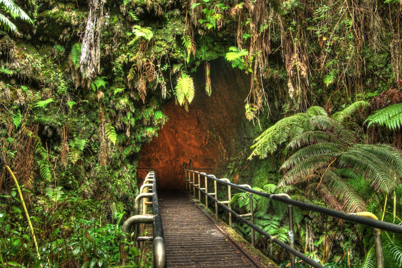 Volcanoes National Park Audio Tour Guide - Shaka Guide Volcanoes National Park Audio Tour Guide - Shaka Guide