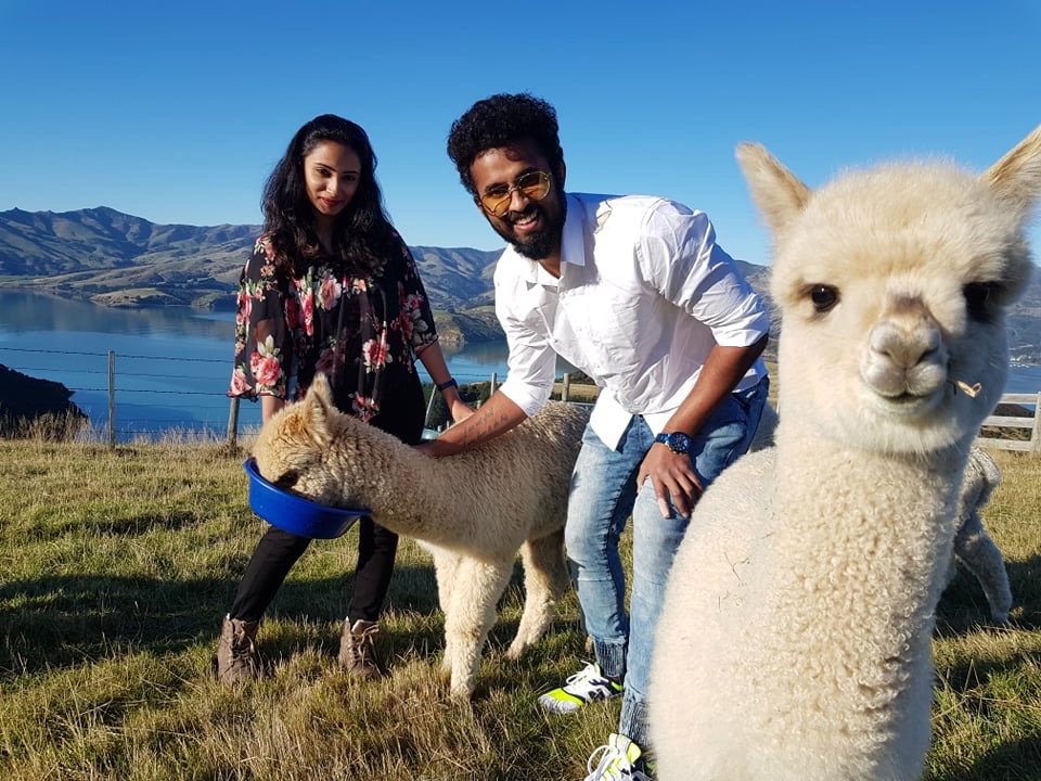 Alpaca Farm Tour - Shamarra Alpaca Farm Tours Reservations