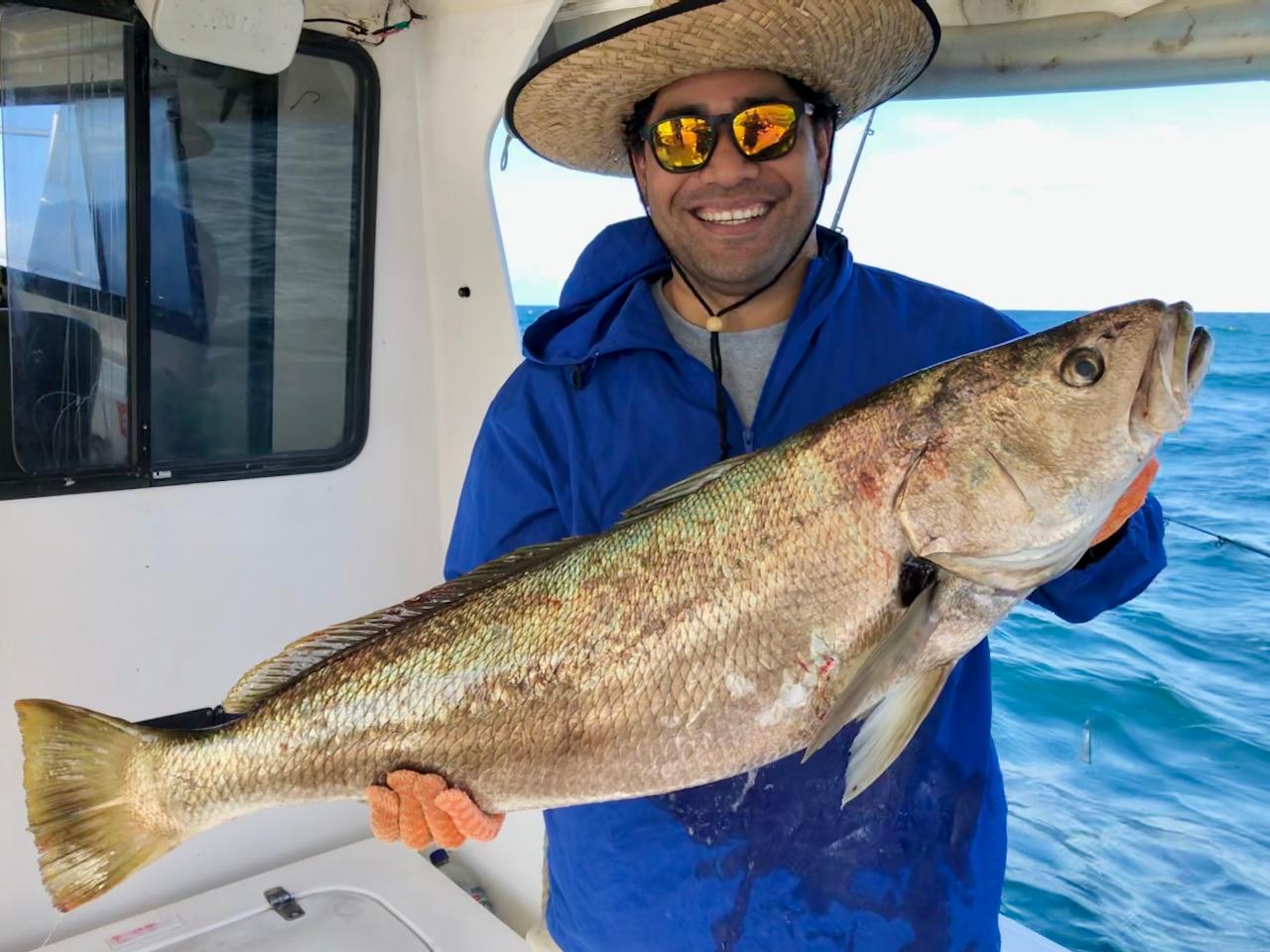 Half day (5hr) Offshore Reef Fishing Charter - BK's Fishing Charters ...