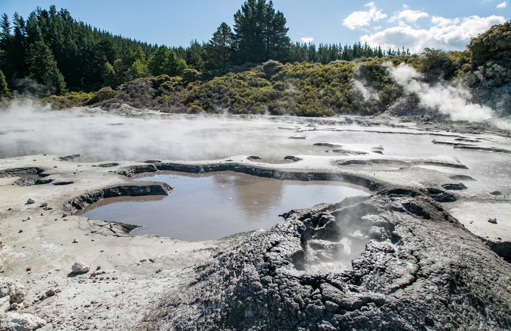 Hells Gate Geothermal Valley & Mud Spa Experience - Things To Do In ...