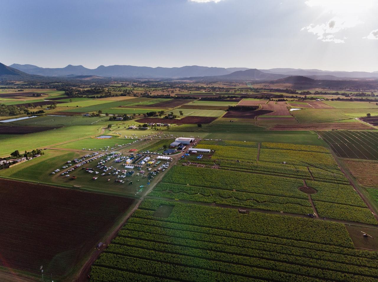 Kalbar Sunflowers 2026 - Great Ocean Helicopters Reservations