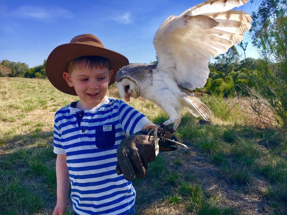 Wings of Connection - VIP Owl Experience - Feathered Friends Reservations