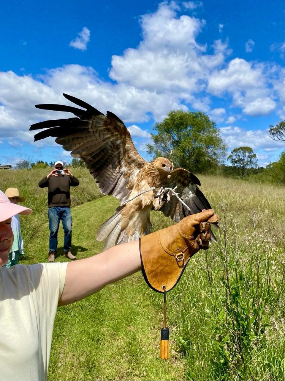Hawk Experience - Standard - Feathered Friends Reservations